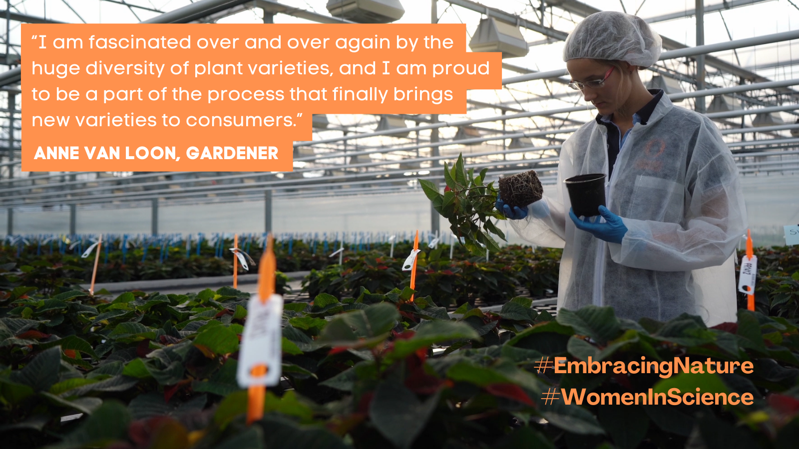 Celebrating the International Day of Women in Science - Euroseeds